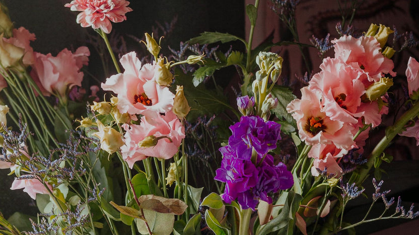 Contact – Flower Bank